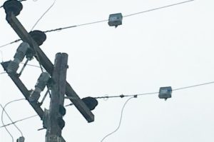 ZM1 Overhead Low-Load Line Sensor | Sentient Energy